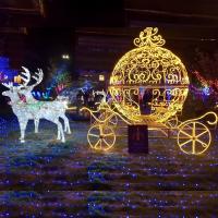 China Large-scale Outdoor Christmas Holiday Lighting Decorations - 3D Light-up Christmas Deer & Pumpkin Carriage for sale