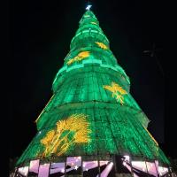 China 500cm Large Christmas Tree LED Holiday Lights for Mall Decoration - 110V/220V Customizable Commercial Display for sale