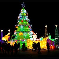 China Giant Outdoor LED Christmas Tree Lights for Holiday Decorations, Mall Ornamentation for sale