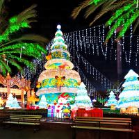 China Large Outdoor Christmas Tree LED Lighting for Outdoor Decorations, Shopping Mall Decor for sale
