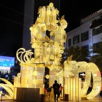 China Large Outdoor Christmas Tree LED Lighting for Outdoor Decorations, Shopping Mall Decor for sale