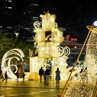 China Large Outdoor Christmas Tree LED Lighting for Outdoor Decorations, Shopping Mall Decor for sale