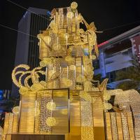 China Large Outdoor Christmas Tree LED Lighting for Outdoor Decorations, Shopping Mall Decor for sale