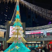 China Large Christmas String Lights for Outdoor and Street Decorations for sale