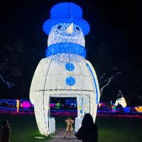 China 3D Snowman String Lights for Christmas Decor and Themed Parties for sale