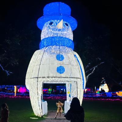 China 3D Snowman String Lights for Christmas Decor and Themed Parties for sale