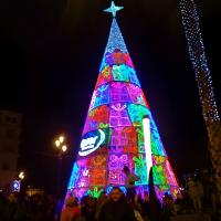 China Outdoor Christmas Tree Holiday Lights Decoration Large Customizable for sale
