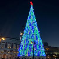 China Large Outdoor Christmas Tree Lighting 110/220V for Holiday Decor for sale