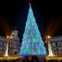 China Large Outdoor Christmas Tree Lighting 110/220V for Holiday Decor for sale
