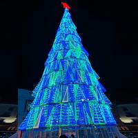 China Large Outdoor Christmas Tree Lighting 110/220V for Holiday Decor for sale