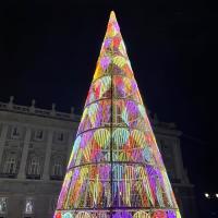 China Outdoor Christmas Tree Holiday Lights Decoration Large Customizable for sale