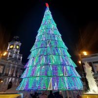 China Large Outdoor Christmas Tree Lighting 110/220V for Holiday Decor for sale