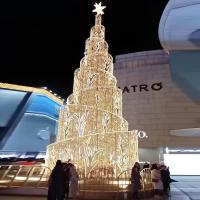China Outdoor Holiday Lights Decoration LED Christmas Tree Customizable for sale