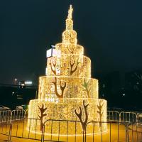 China Outdoor Holiday Lights Decoration LED Christmas Tree Customizable for sale