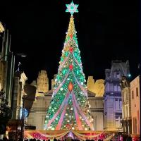 China Street Hotel Decorations Large Christmas Tree Lighting Customizable for sale