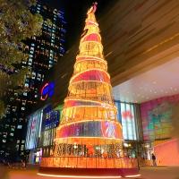 China Outdoor Customizable Christmas Tree Lights for Street and Hotel Decor for sale
