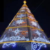 China Outdoor Customizable Christmas Tree Lights for Street and Hotel Decor for sale
