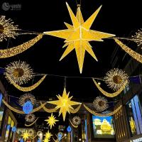 China Outdoor Star Shaped Holiday Lights Decoration Custom for Hotel Lobby for sale