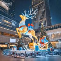 China Christmas Outdoor Light Up Reindeer Illumination Device for Shopping Malls for sale