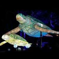 China Sea Turtle Lantern Set 180CM x 180CM with LED Lighting for Zoo and Theme Park Decorations for sale