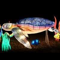 China Sea Turtle Lantern Set 180CM x 180CM with LED Lighting for Zoo and Theme Park Decorations for sale