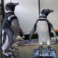 China Handcrafted Silk Penguin Lantern - Waterproof Material for Zoo Decorations for sale