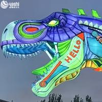 China Vivid Dinosaur Model Lantern - LED Outdoor Lighting Fixture for sale