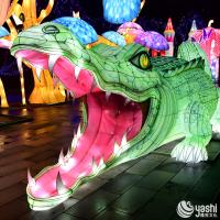 China Zigong Animal Lanterns Factory Direct - LED Outdoor Crocodile Lanterns for Sale for sale