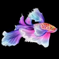 China Outdoor Chinese Fish Lantern 3D Light Up Fish Sculpture Lamp for sale