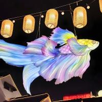 China Outdoor Chinese Fish Lantern 3D Light Up Fish Sculpture Lamp for sale