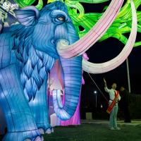 China Outdoor LED Animal Lanterns Glowing Elephant Sculpture For Scenic Spots for sale