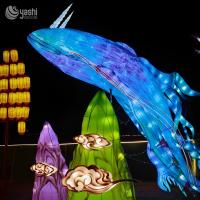 China Realistic Whale Lantern for Theme Park Light Exhibitions for sale