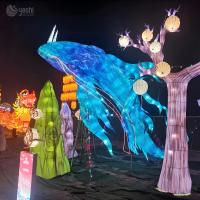 China Realistic Whale Lantern for Theme Park Light Exhibitions for sale