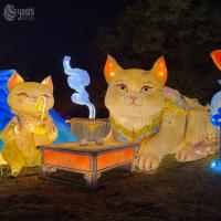 China Cat Chinese Festival Lantern Decoration for Theme Park Light Exhibition for sale