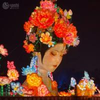 China Traditional Chinese Lantern Installation 110/220V LED Light Display with Customizable Size for Cultural Events for sale