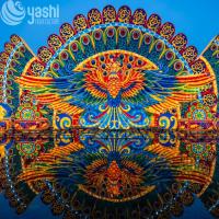 China Traditional Chinese Phoenix Lantern 110/220V LED Display for Festival Light Shows with Custom Sizing for sale