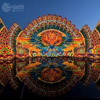 China Traditional Chinese Phoenix Lantern 110/220V LED Display for Festival Light Shows with Custom Sizing for sale