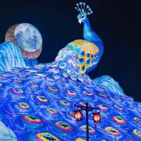China Custom LED Peacock Festival Lantern for Outdoor Zoo Decoration - 110V/220V Power with Adjustable Size for sale