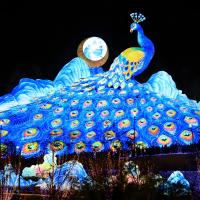 China Custom LED Peacock Festival Lantern for Outdoor Zoo Decoration - 110V/220V Power with Adjustable Size for sale
