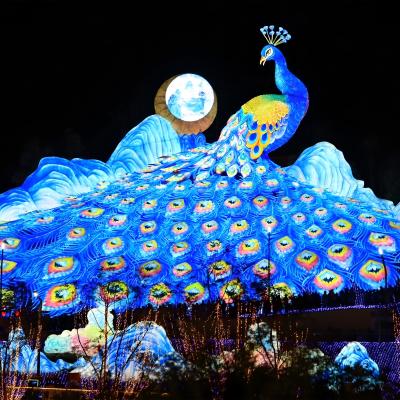 China Custom LED Peacock Festival Lantern for Outdoor Zoo Decoration - 110V/220V Power with Adjustable Size for sale