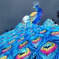 China Custom LED Peacock Festival Lantern for Outdoor Zoo Decoration - 110V/220V Power with Adjustable Size for sale