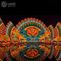 China Traditional Chinese Phoenix Lantern 110/220V LED Display for Festival Light Shows with Custom Sizing for sale