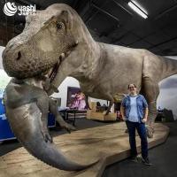 China Custom 350CM Animated Triceratops Dinosaur Sculpture with Voice Control for Outdoor Parks for sale