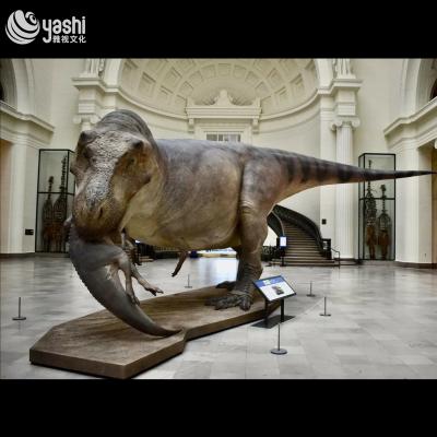 China Custom 350CM Animated Triceratops Dinosaur Sculpture with Voice Control for Outdoor Parks for sale