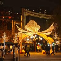 China Custom LED Butterfly Decoration Lights 4-8 Meters with 220V Power for Outdoor Events and Commercial Spaces for sale