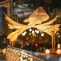 China Custom LED Butterfly Decoration Lights 4-8 Meters with 220V Power for Outdoor Events and Commercial Spaces for sale