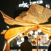 China Custom LED Butterfly Decoration Lights 4-8 Meters with 220V Power for Outdoor Events and Commercial Spaces for sale