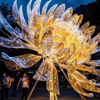 China LED Light Iron Wire Flower Color Changing Display 4-8 Meters for Shopping Mall and Park Decorations for sale