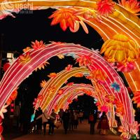 China Rust Proof Paint LED Archway Outdoor Lighting with Weather-Resistant Construction and Custom Sizes for Festivals for sale