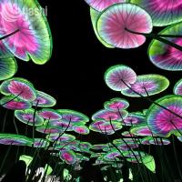 China Customizable LED Lotus Lantern Tunnel for Theme Parks - Weather-Resistant Outdoor Lighting Installation with Multiple Length Options for sale